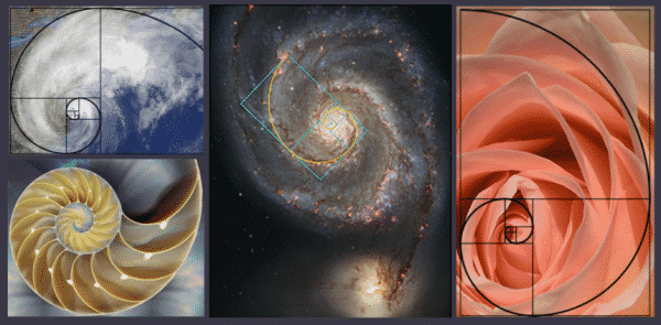 Fibonacci Sequence Delay in Ableton Live – Subaqueous Music