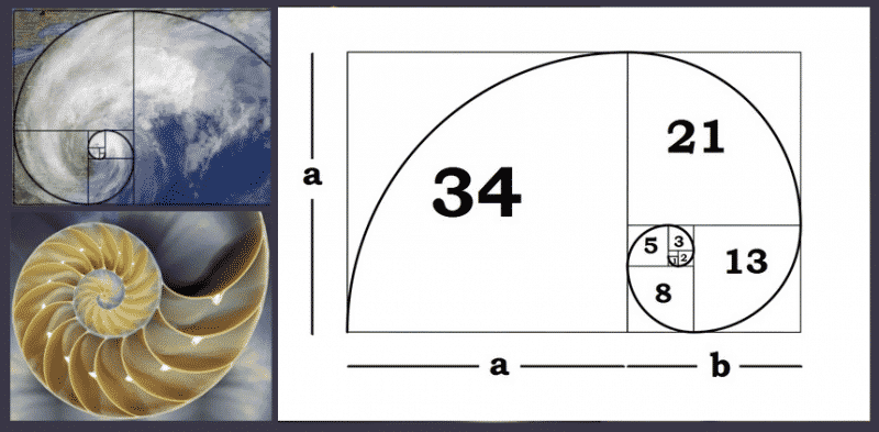 Geometry in Music Composition with Ableton Live – Subaqueous Music